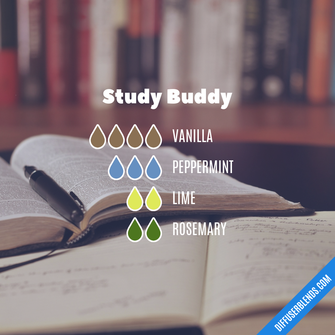 Study Buddy | DiffuserBlends.com