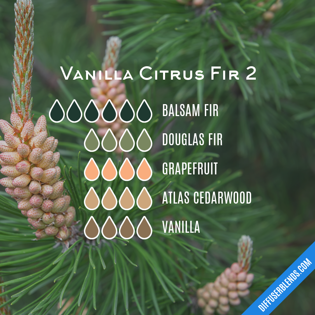 Vanilla Citrus Fir 2 | DiffuserBlends.com
