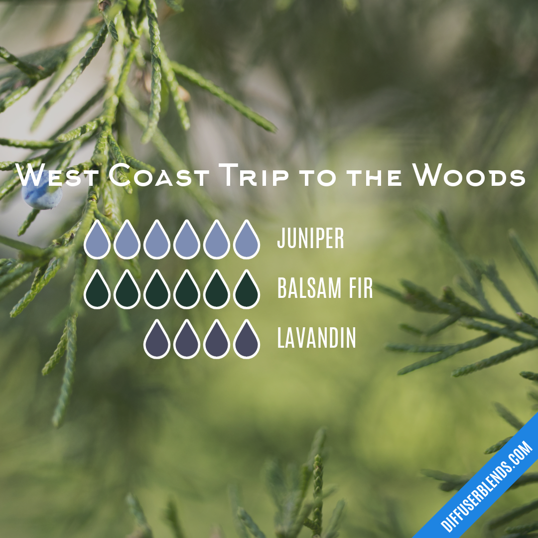 West Coast Trip to the Woods | DiffuserBlends.com