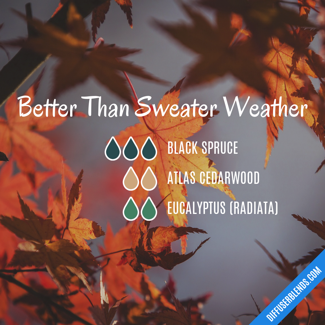 Better Than Sweater Weather | DiffuserBlends.com