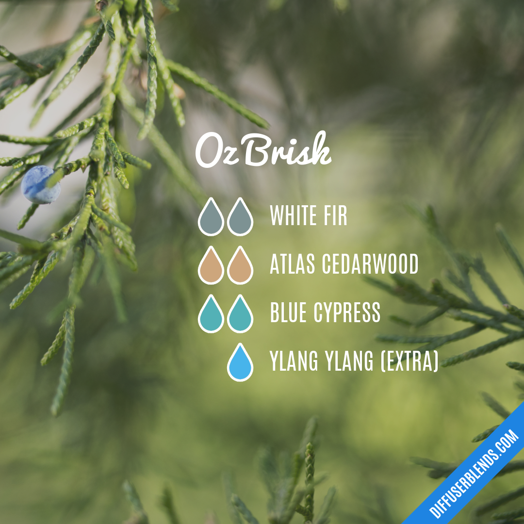 Oz Brisk | DiffuserBlends.com