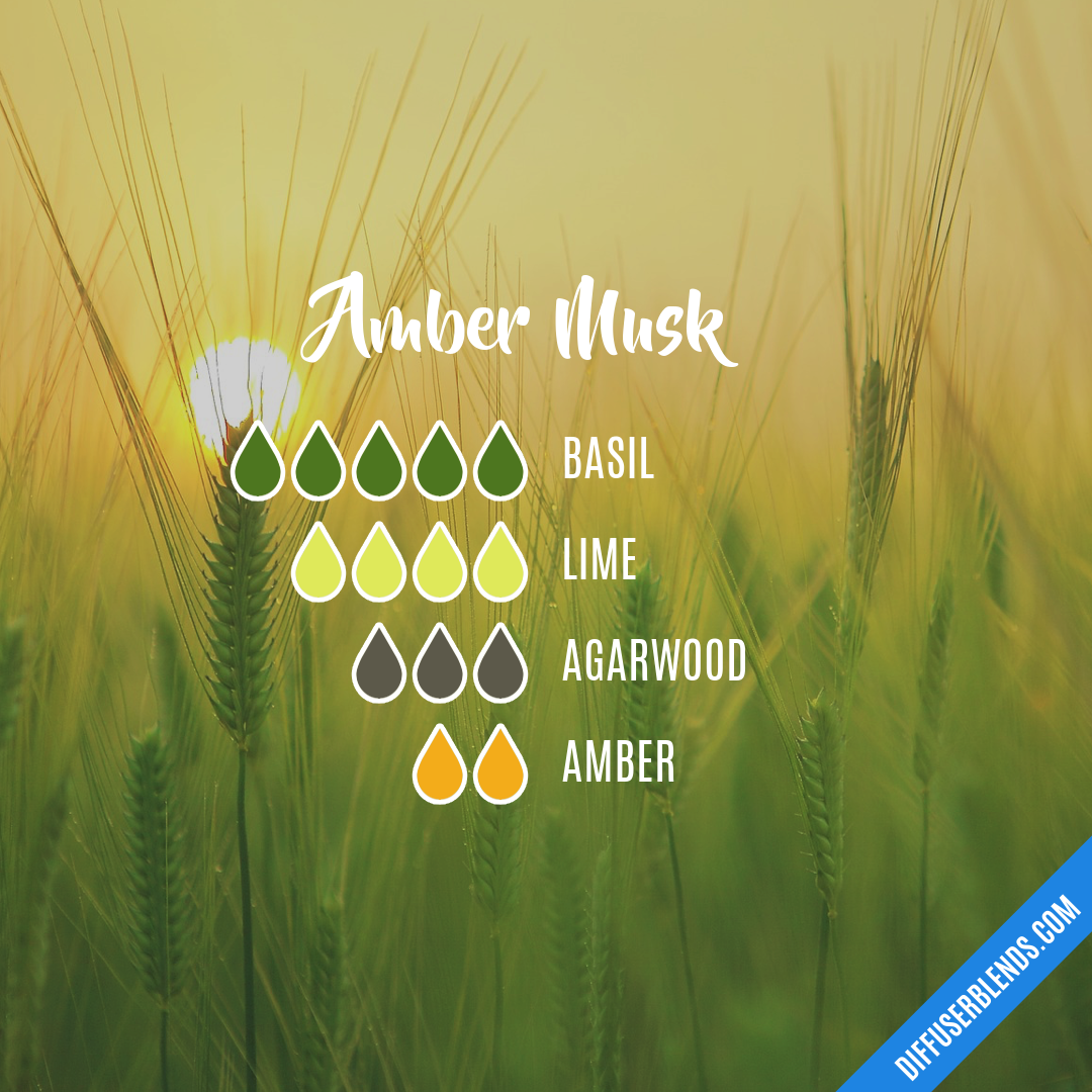 Amber Musk | DiffuserBlends.com