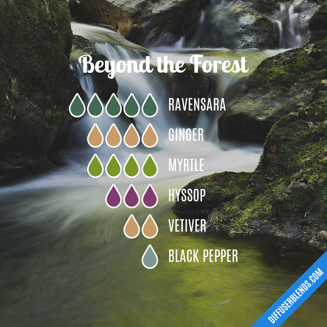 Beyond the Forest | DiffuserBlends.com
