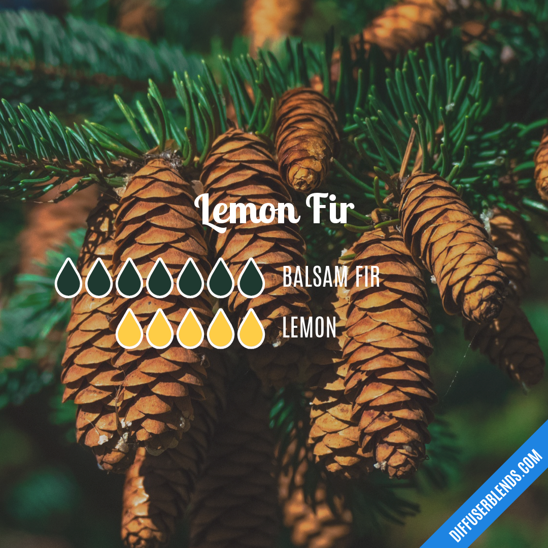 Lemon Fir | DiffuserBlends.com