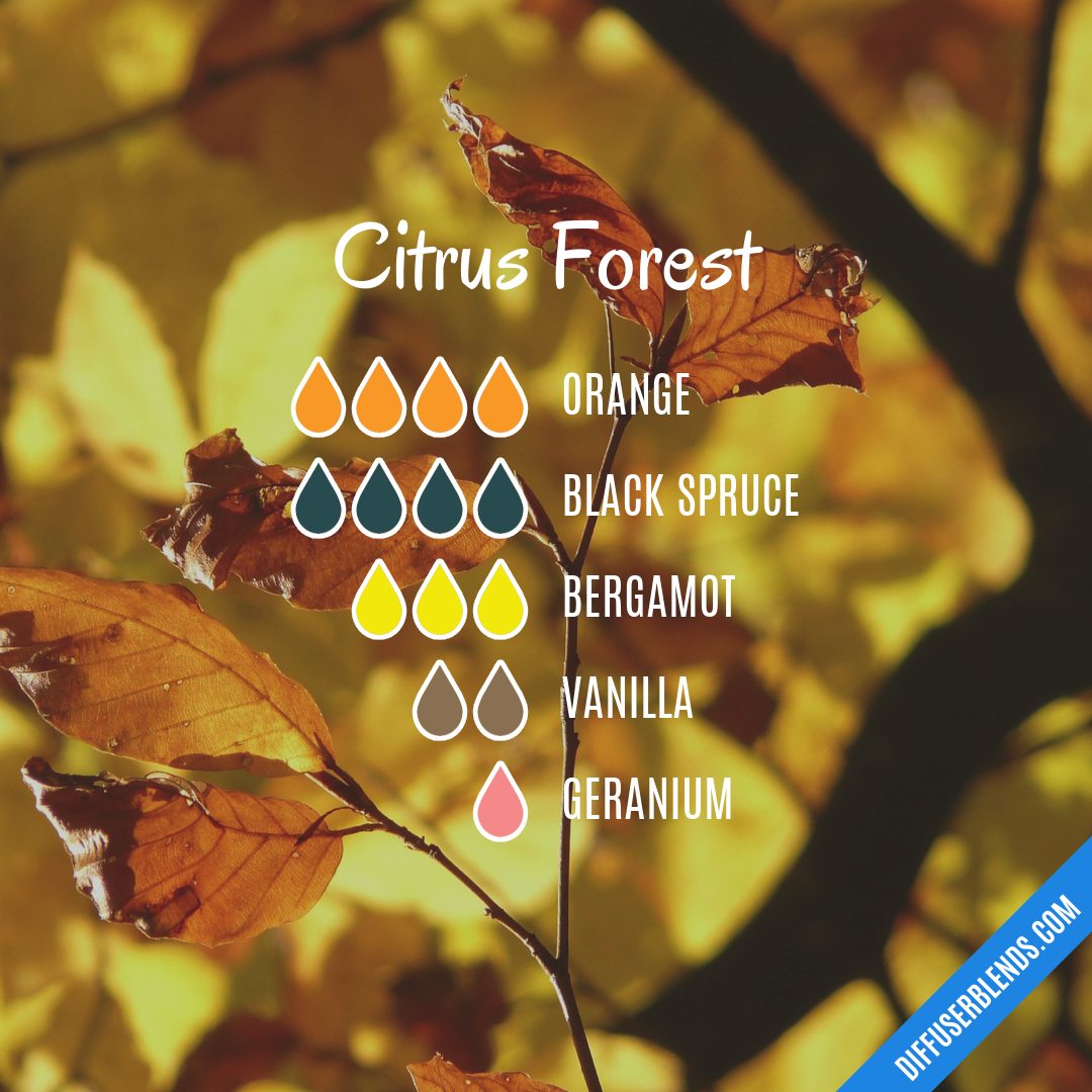 Citrus Forest | DiffuserBlends.com