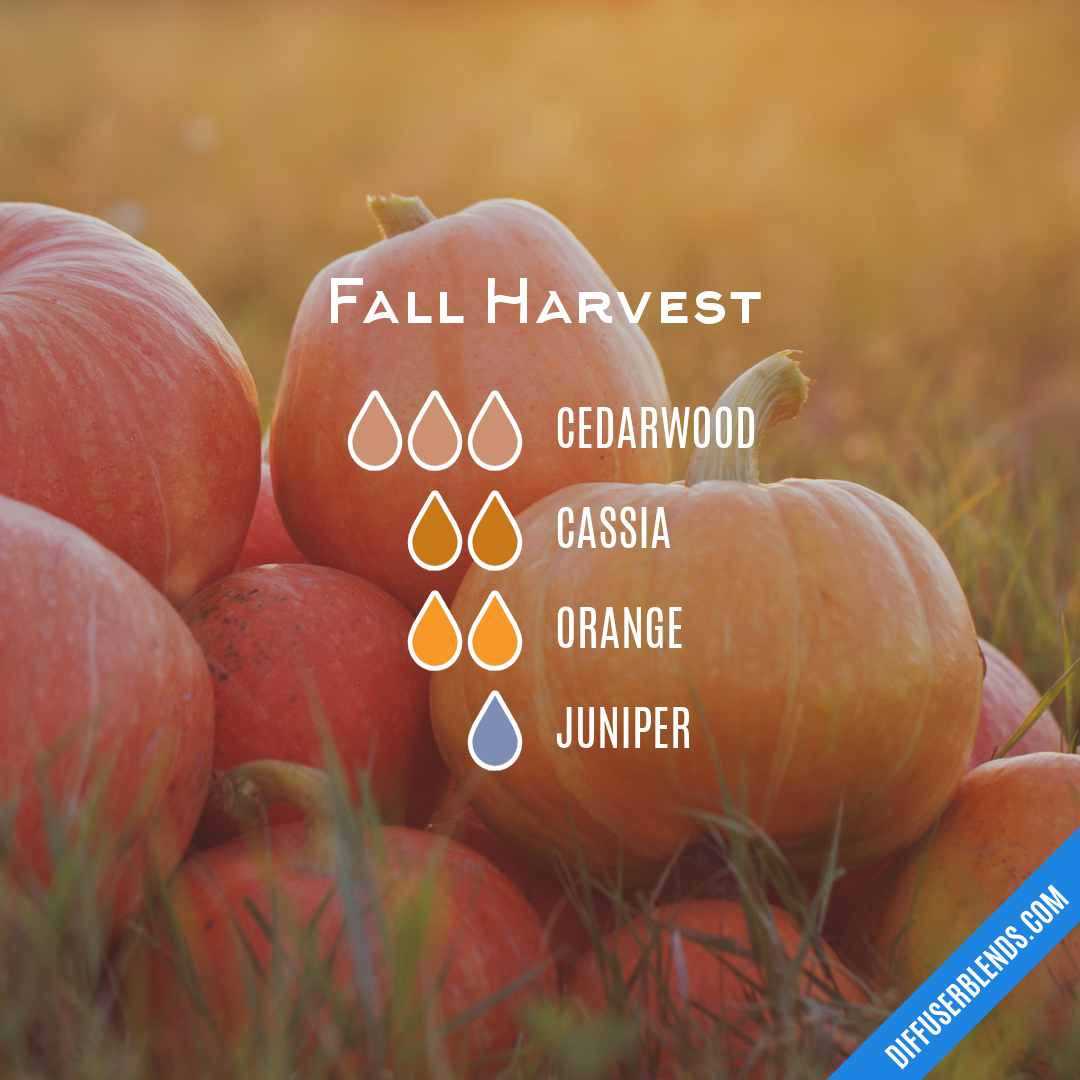 Fall Harvest | DiffuserBlends.com