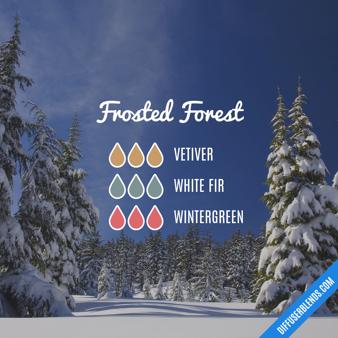 Frosted Forest | DiffuserBlends.com
