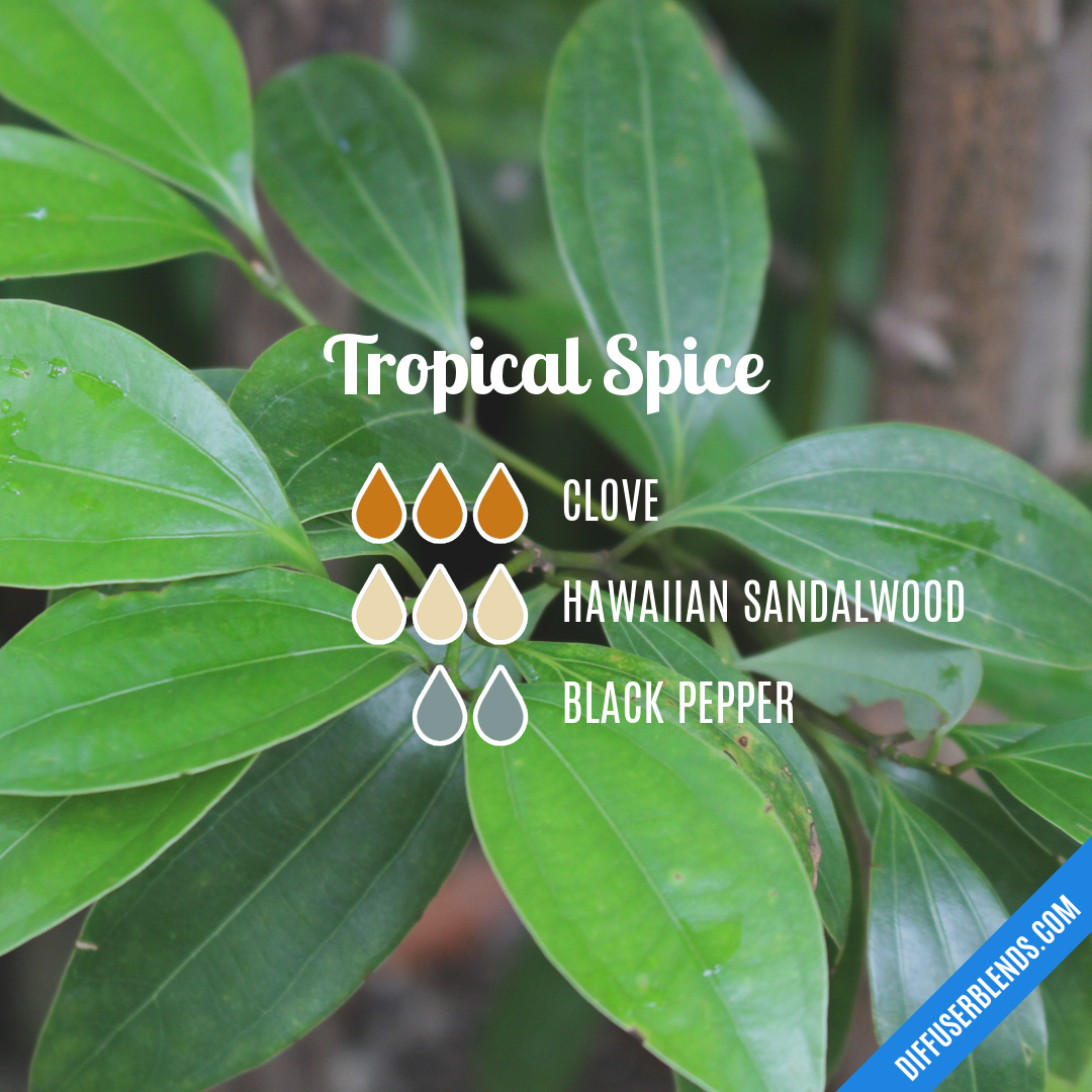 Tropical Spice | DiffuserBlends.com