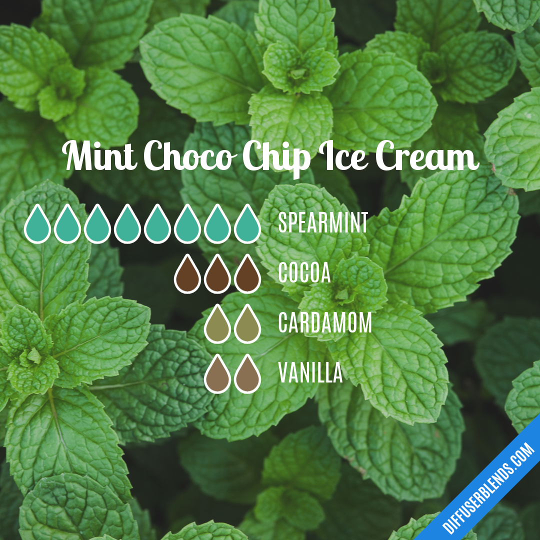 Mint Choco Chip Ice Cream | DiffuserBlends.com