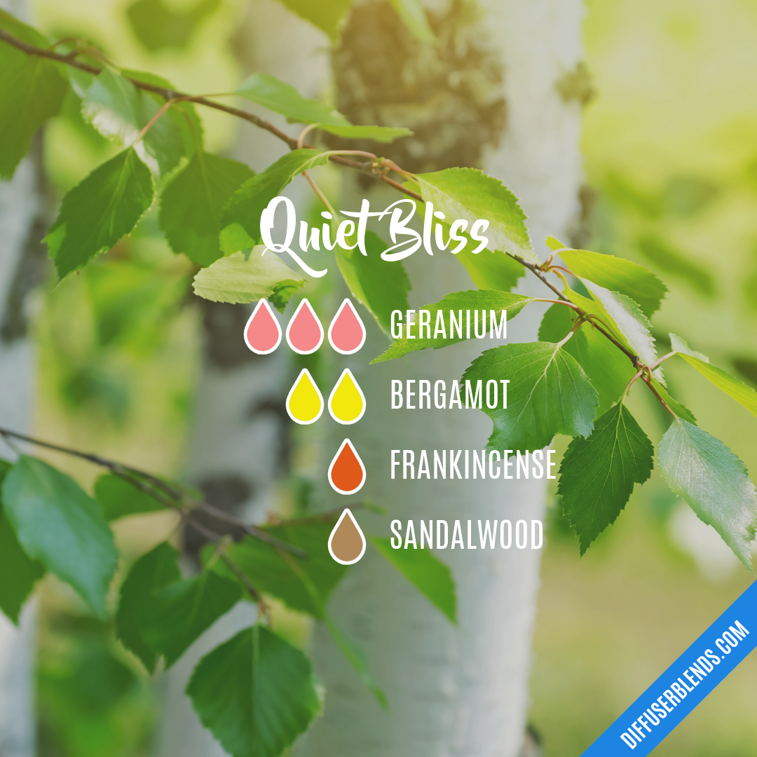 Quiet Bliss | DiffuserBlends.com