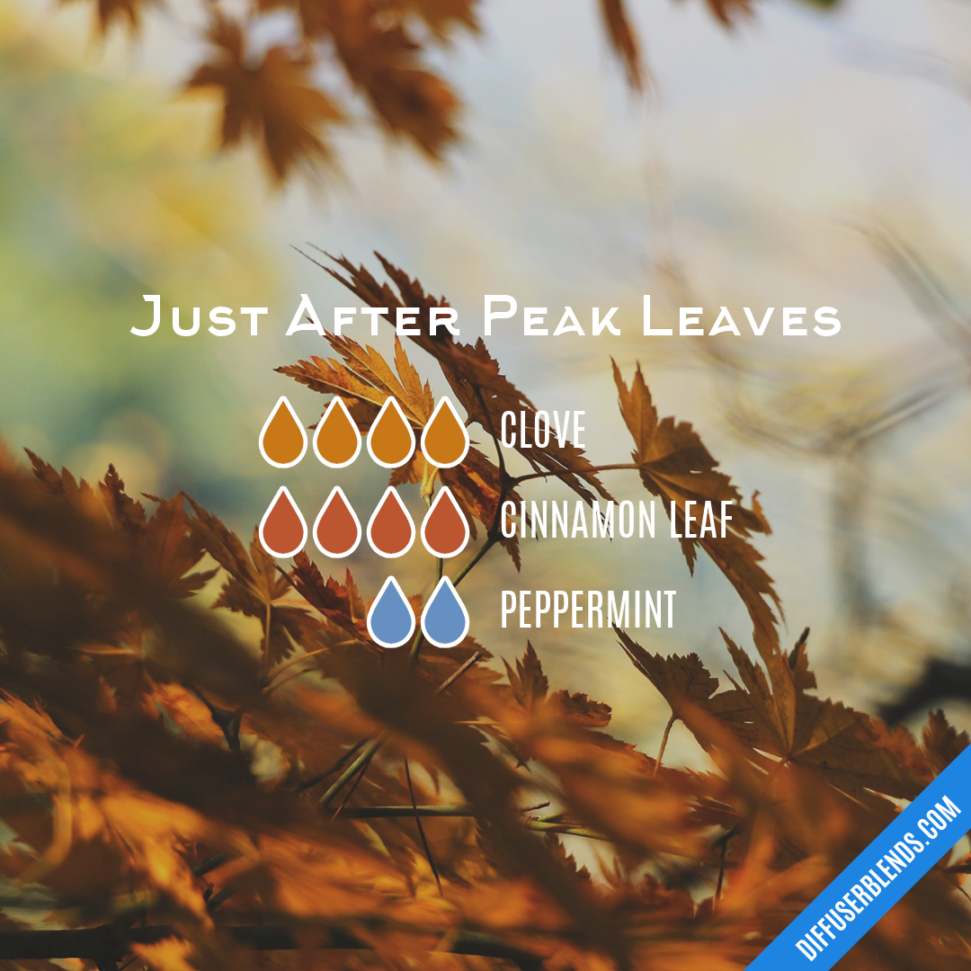 Just After Peak Leaves | DiffuserBlends.com