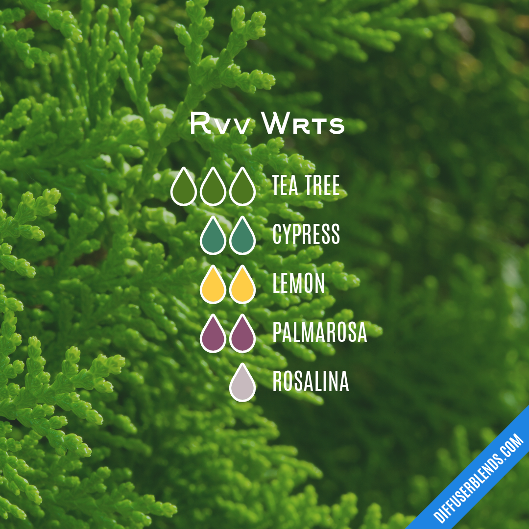Rvv Wrts | DiffuserBlends.com