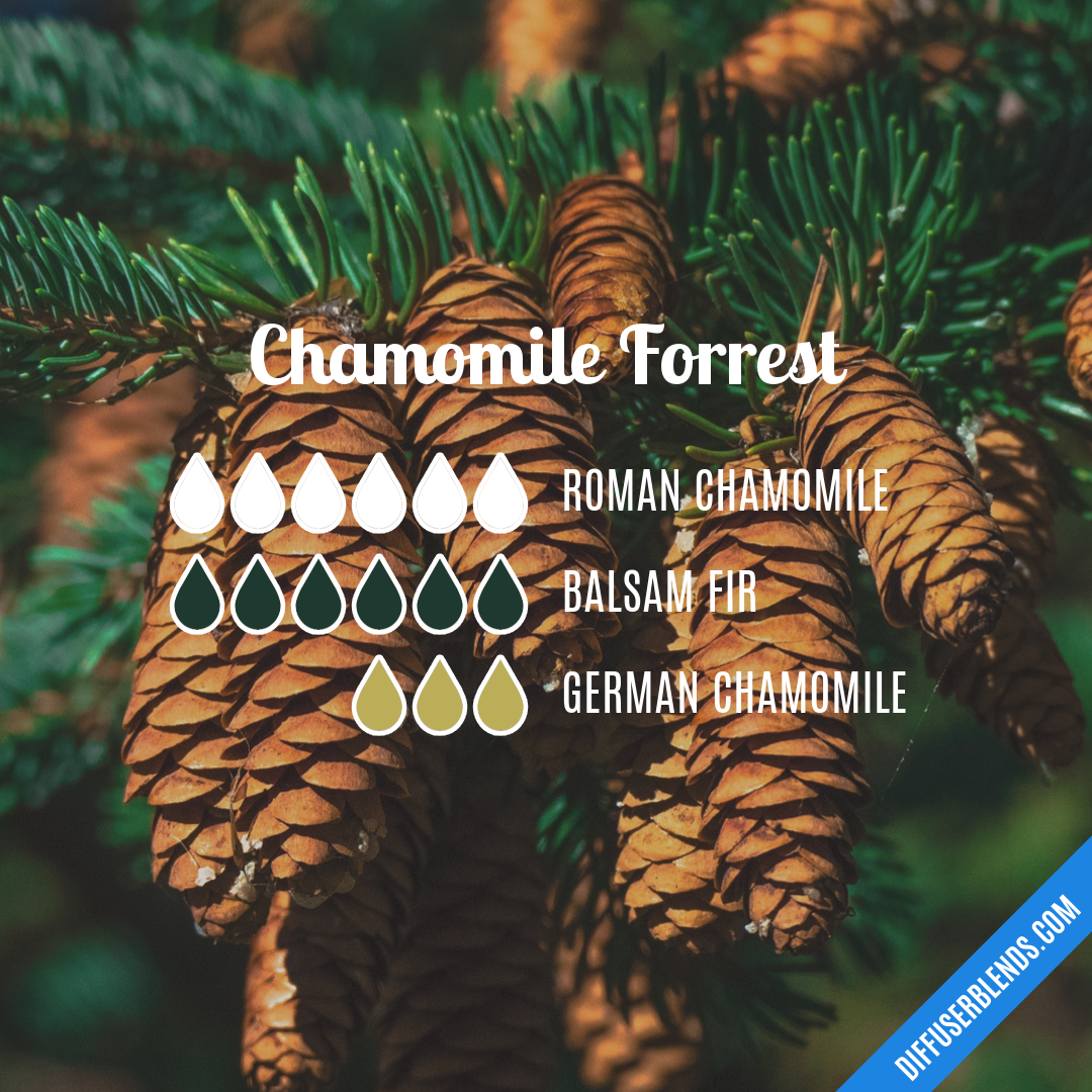 Chamomile Forrest | DiffuserBlends.com