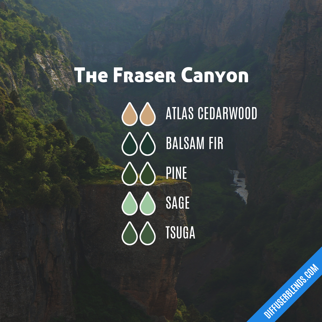 The Fraser Canyon | DiffuserBlends.com