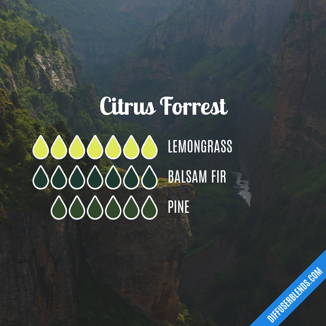 Citrus Forrest | DiffuserBlends.com