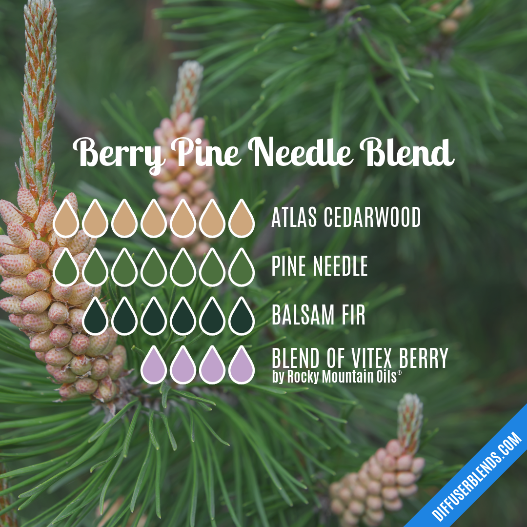 Berry Pine Needle Blend | DiffuserBlends.com