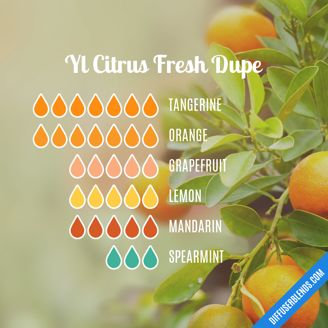 Yl Citrus Fresh Dupe