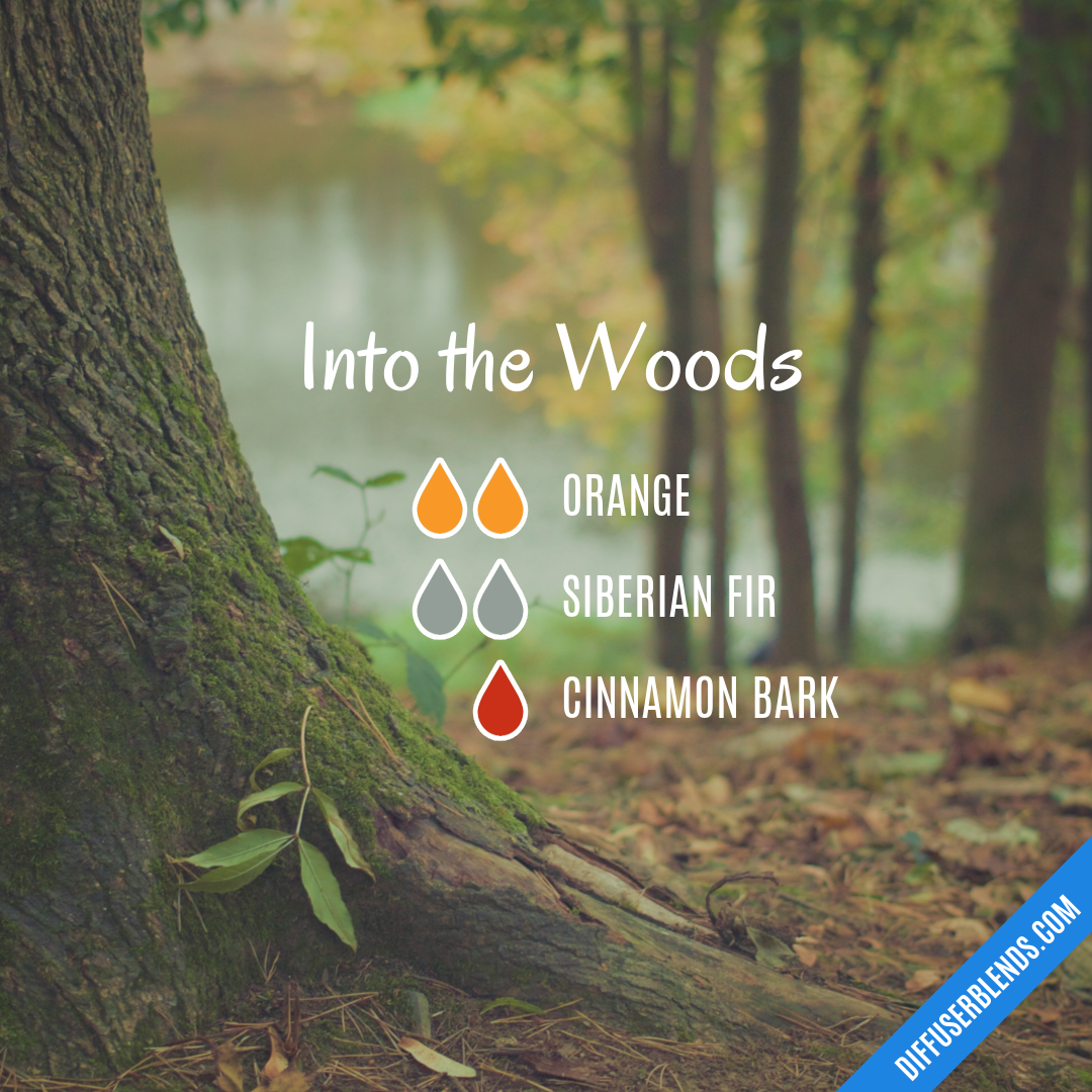 Into the Woods | DiffuserBlends.com