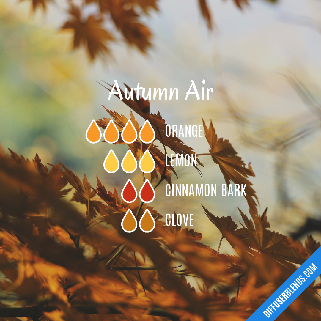 Autumn Air | DiffuserBlends.com