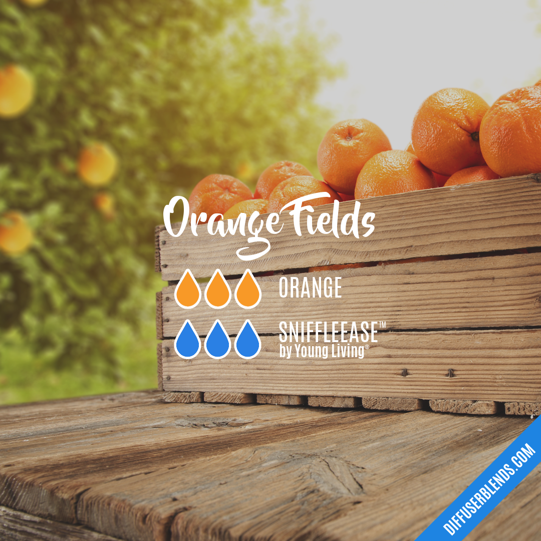Orange Fields | DiffuserBlends.com