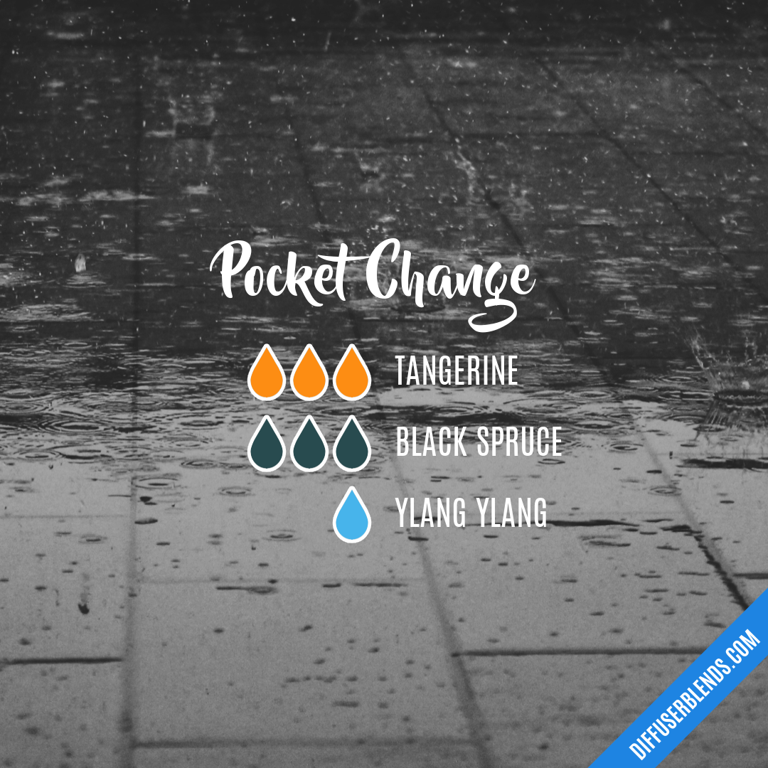 Pocket Change | DiffuserBlends.com