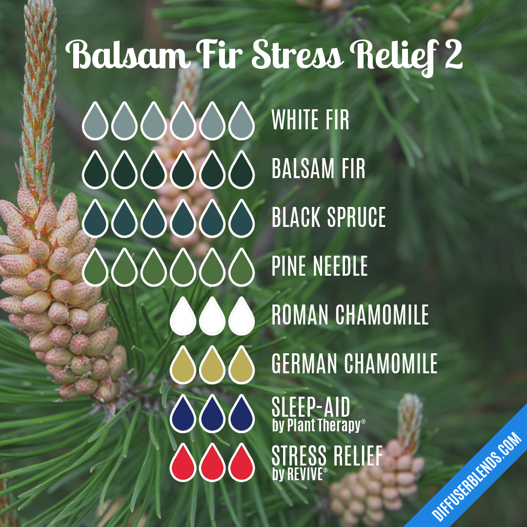 Balsam Fir Stress Relief 2 | DiffuserBlends.com