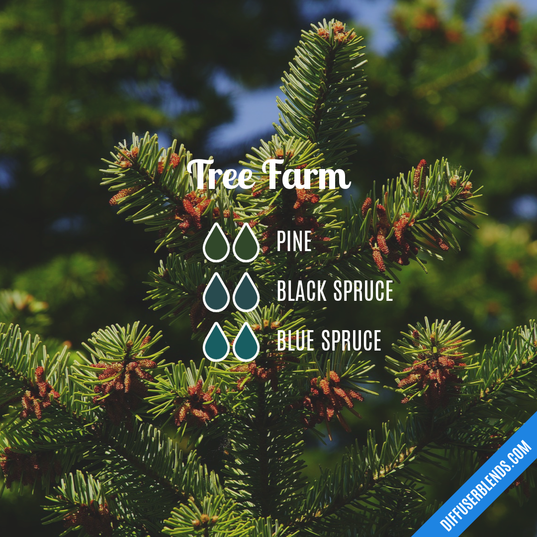 Tree Farm | DiffuserBlends.com