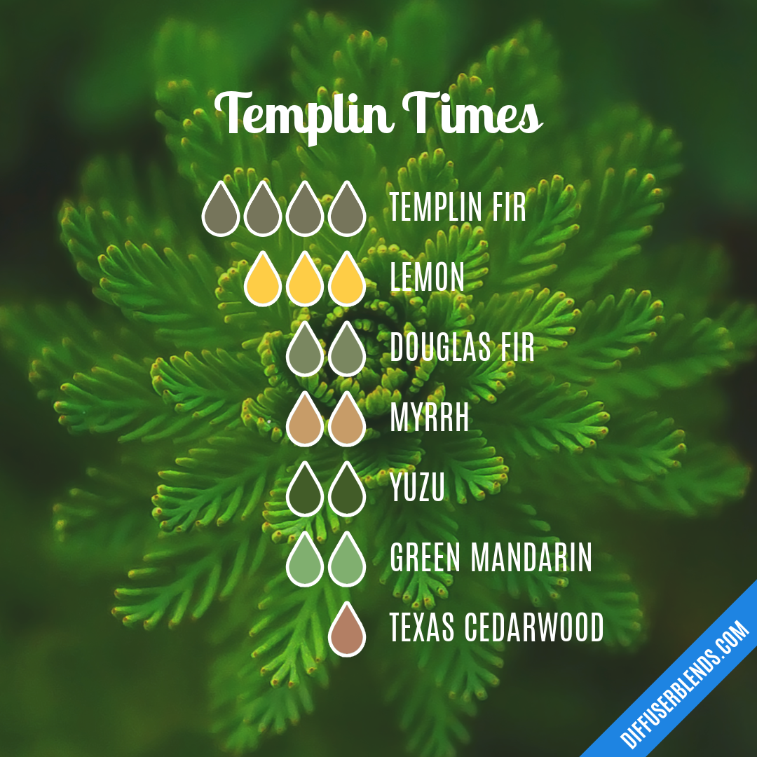 Templin Times | DiffuserBlends.com