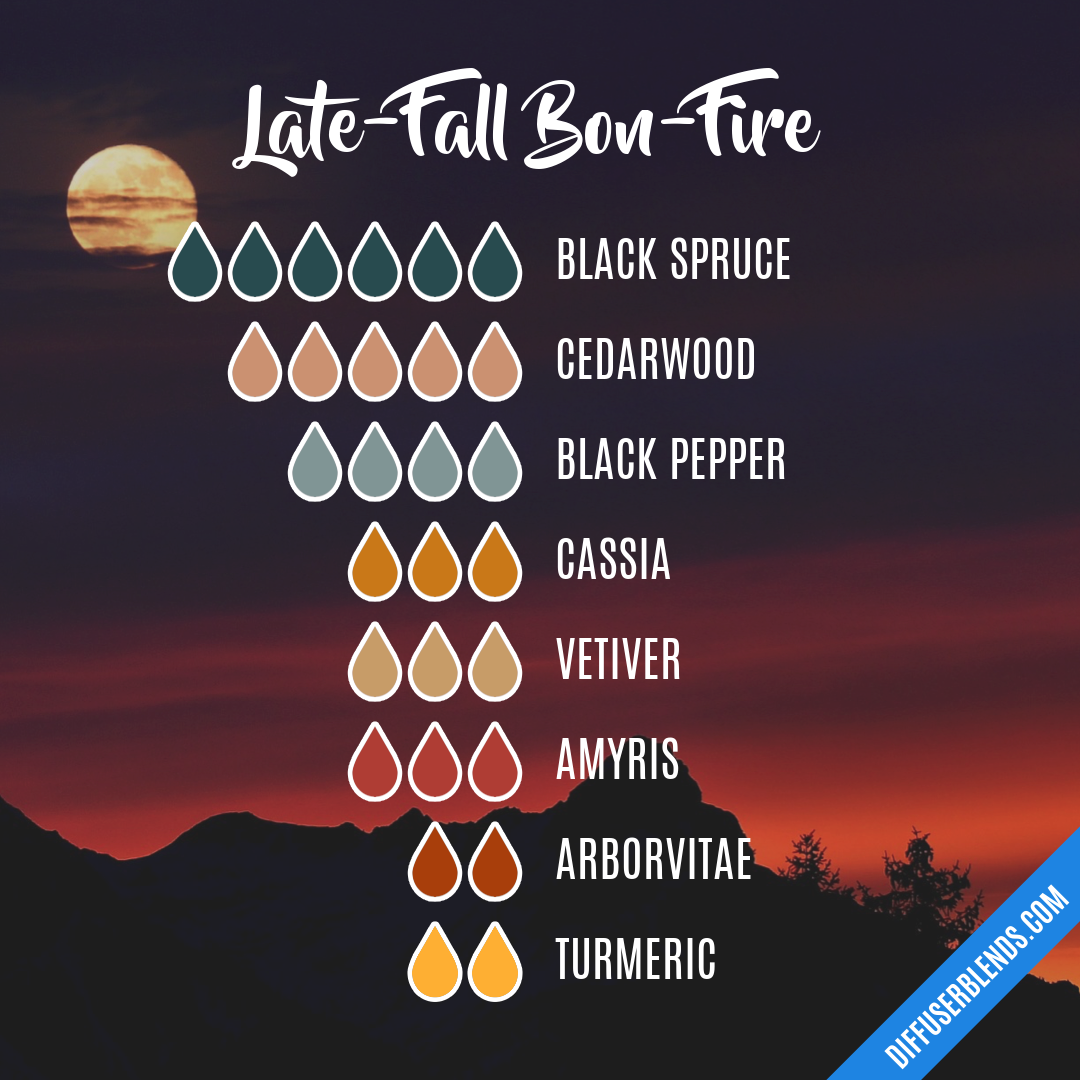Late-Fall Bon-Fire | DiffuserBlends.com