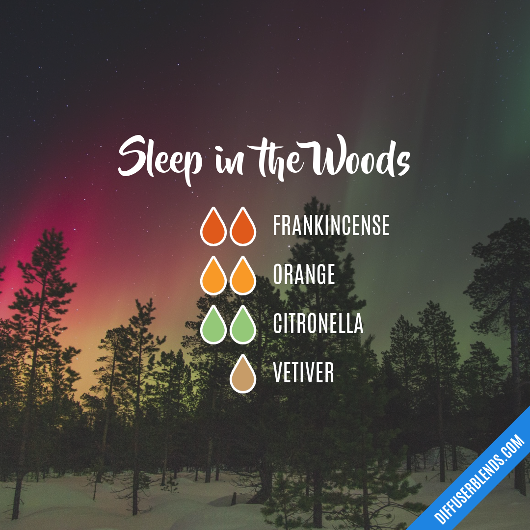 Sleep in the Woods | DiffuserBlends.com