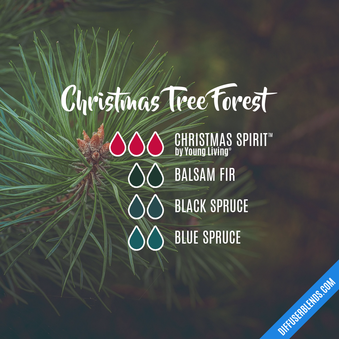Christmas Tree Forest | DiffuserBlends.com