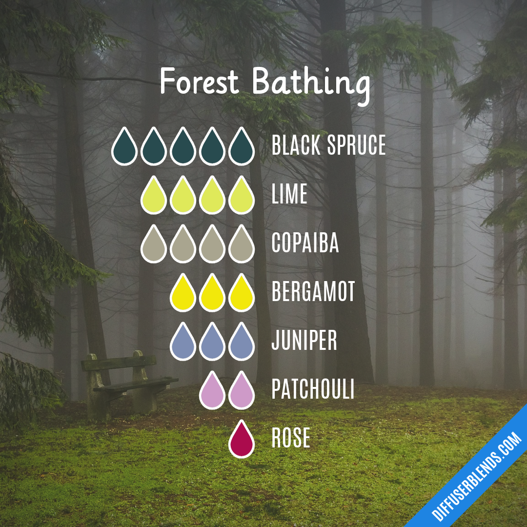 Forest Bathing | DiffuserBlends.com