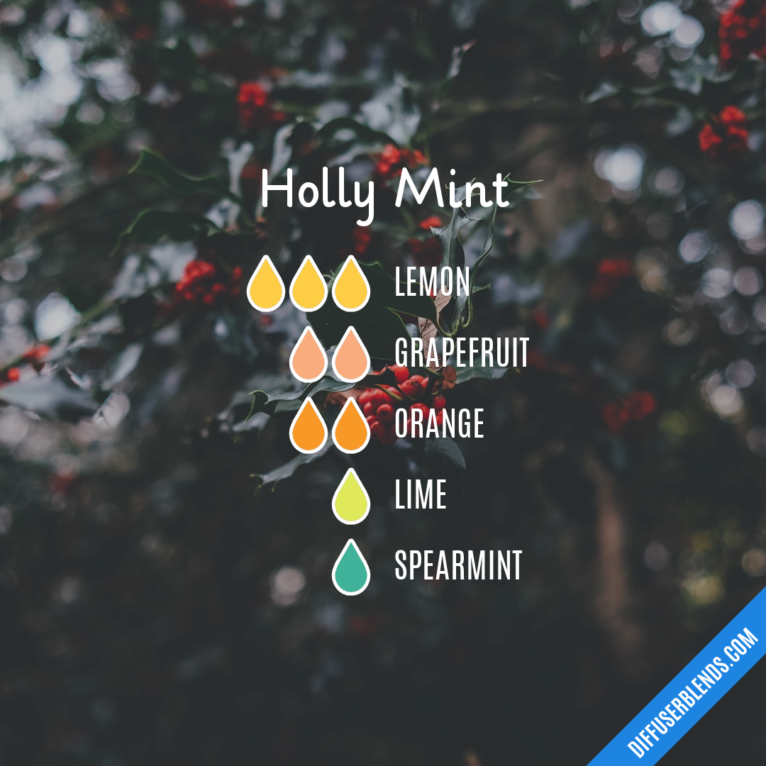 Holly Mint | DiffuserBlends.com