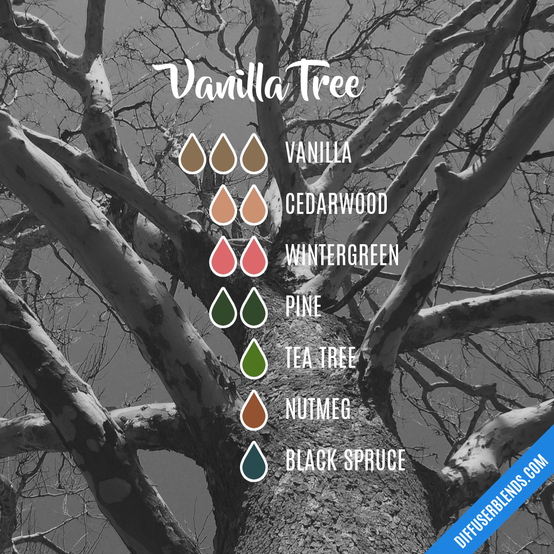 Vanilla Tree | DiffuserBlends.com