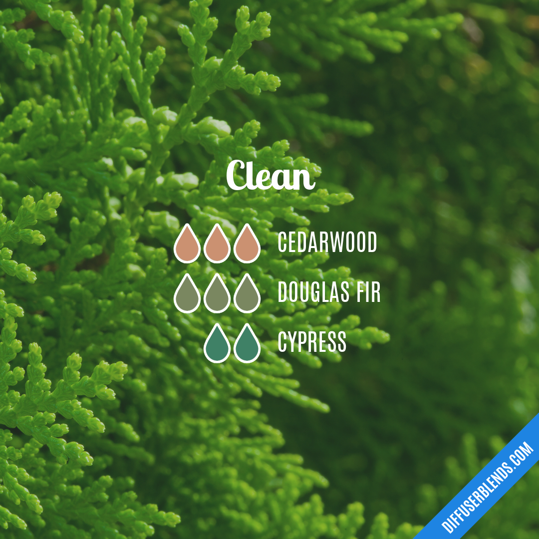 Clean | DiffuserBlends.com