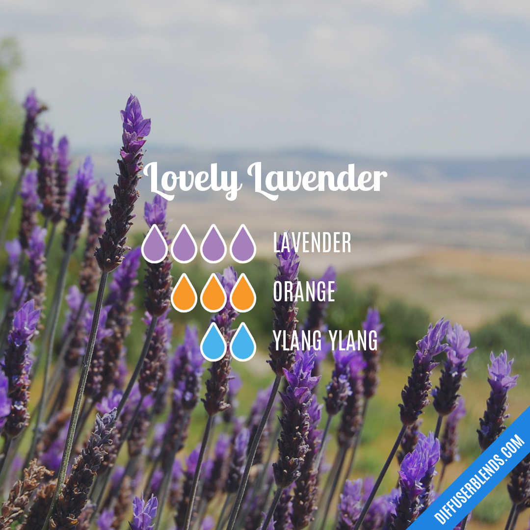 Lovely Lavender | DiffuserBlends.com