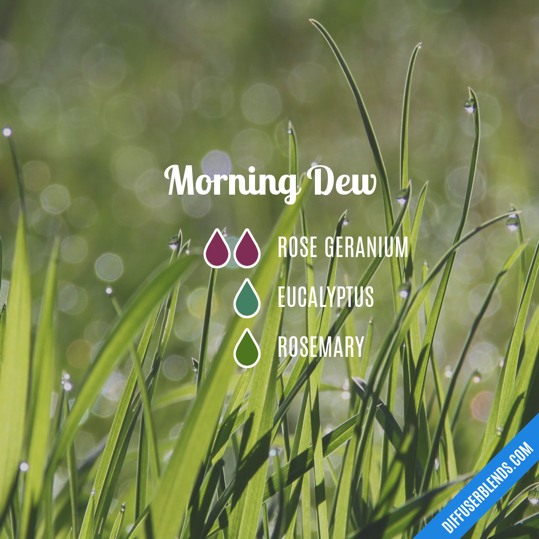 Morning Dew | DiffuserBlends.com