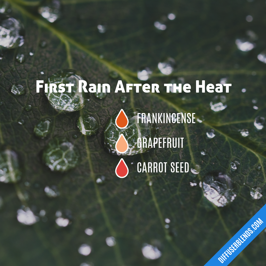 First Rain After the Heat | DiffuserBlends.com