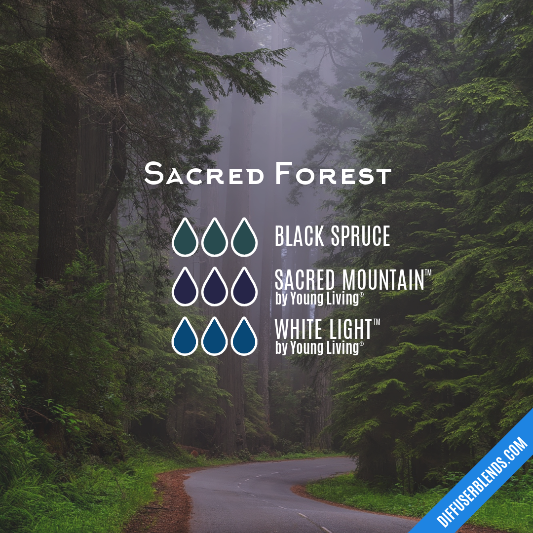 Sacred Forest | DiffuserBlends.com