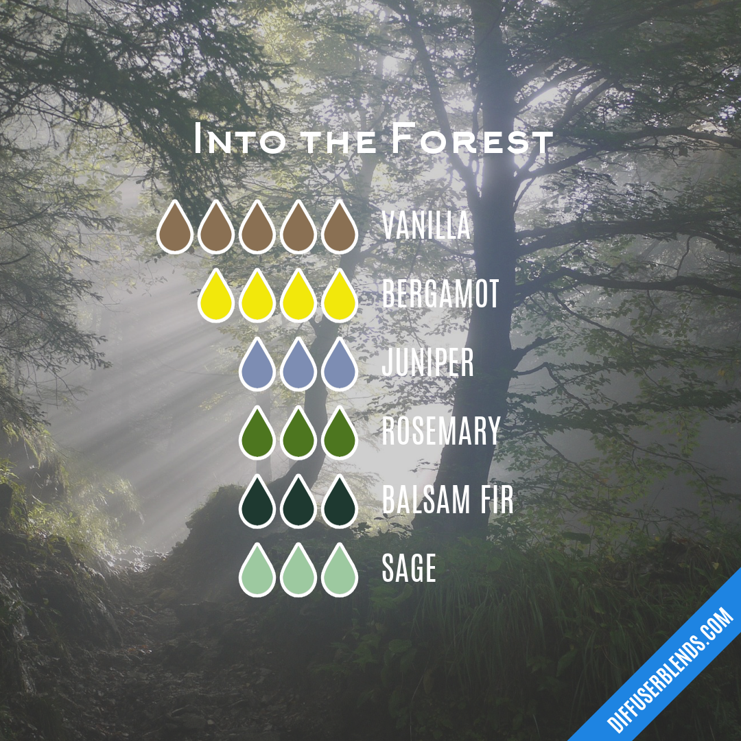 Into the Forest | DiffuserBlends.com