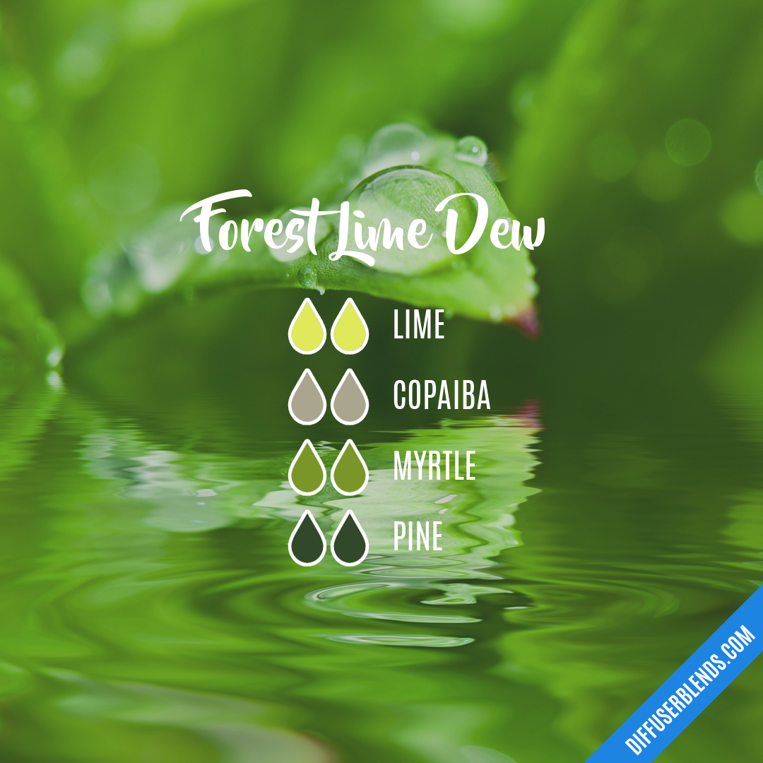Forest Lime Dew | DiffuserBlends.com