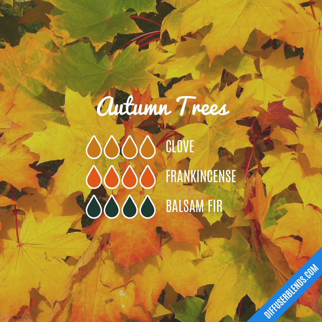 Autumn Trees | DiffuserBlends.com
