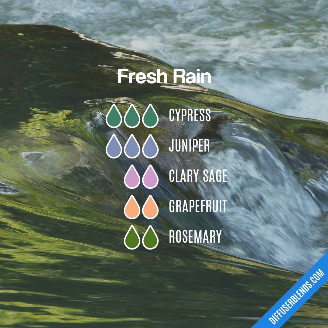 Fresh Rain | DiffuserBlends.com