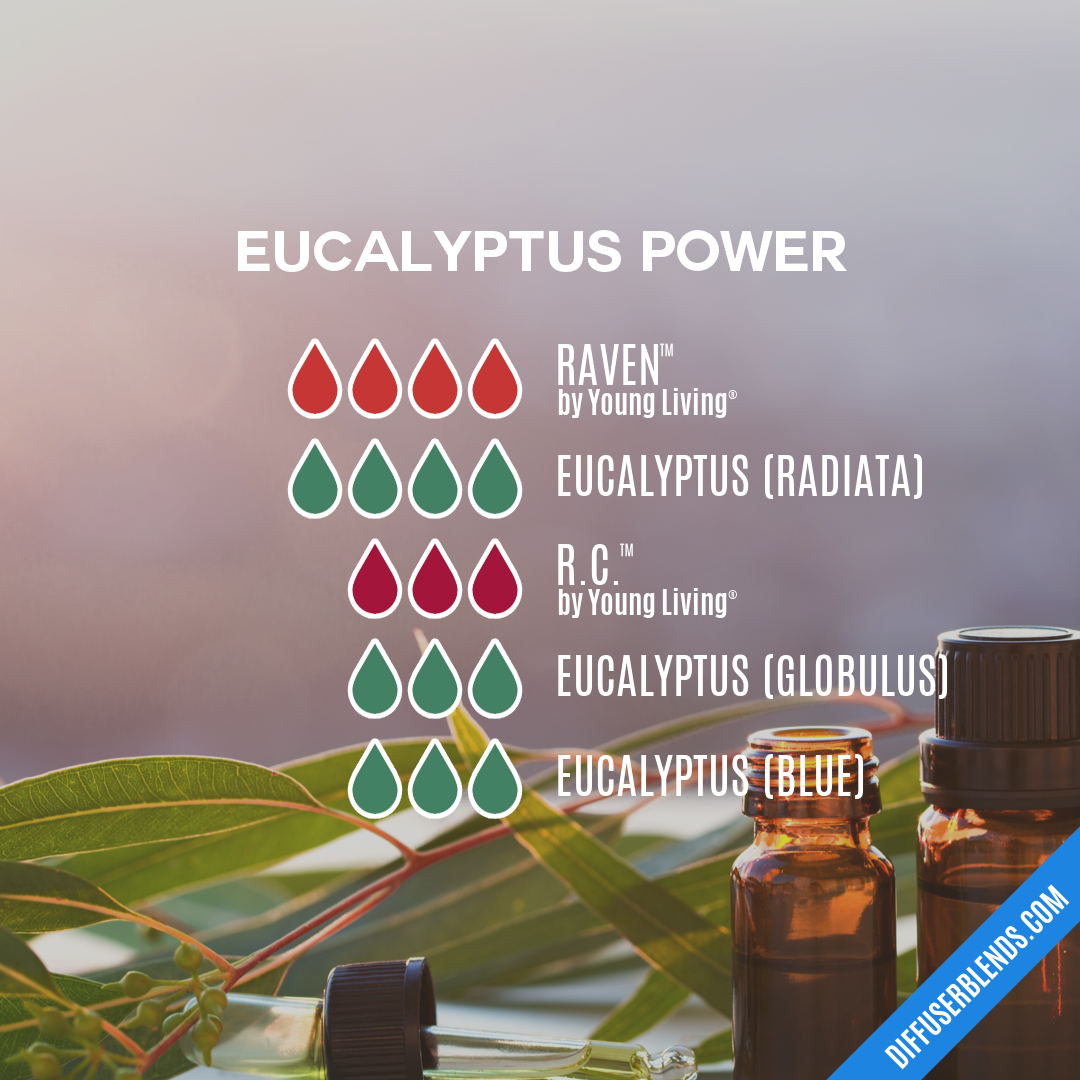 Eucalyptus Power | DiffuserBlends.com