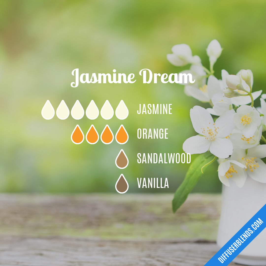 Jasmine Dream | DiffuserBlends.com