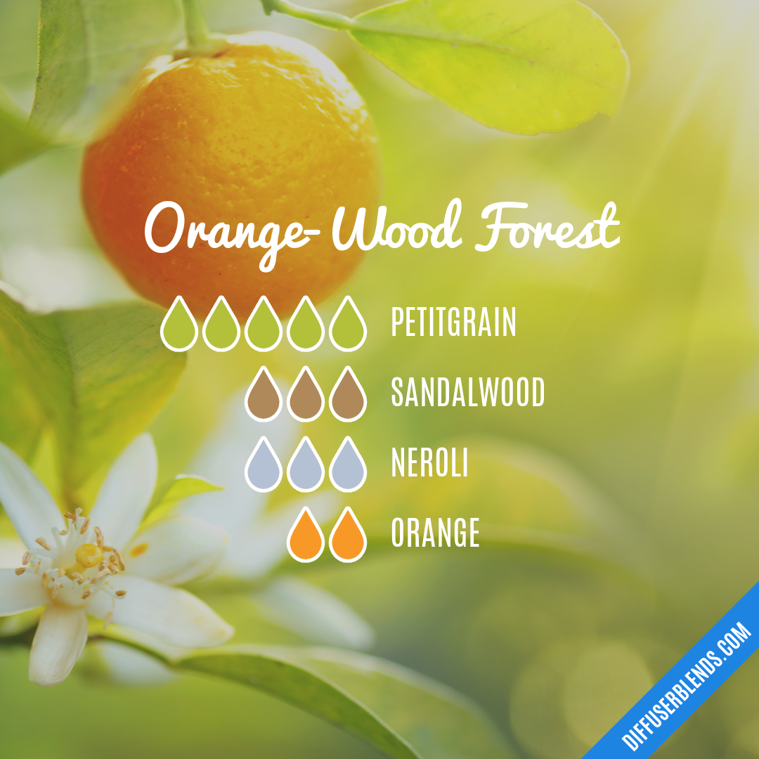 Orange-Wood Forest | DiffuserBlends.com