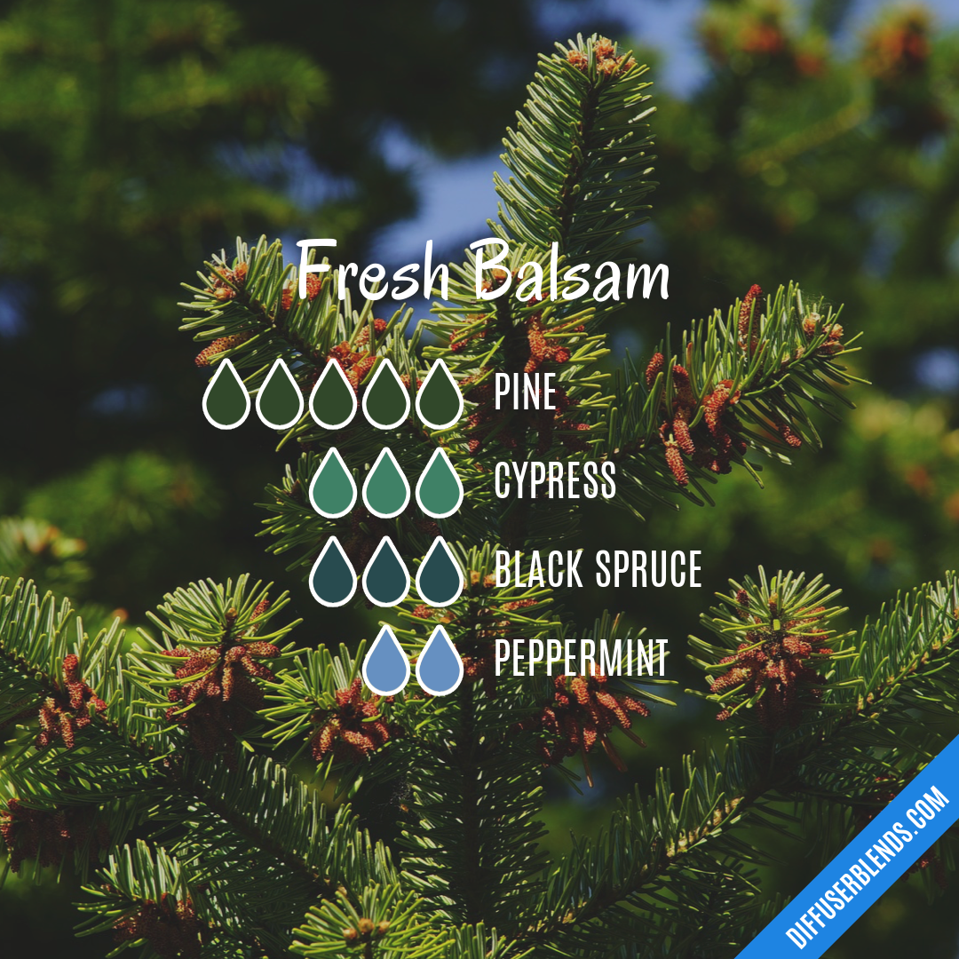 Fresh Balsam | DiffuserBlends.com
