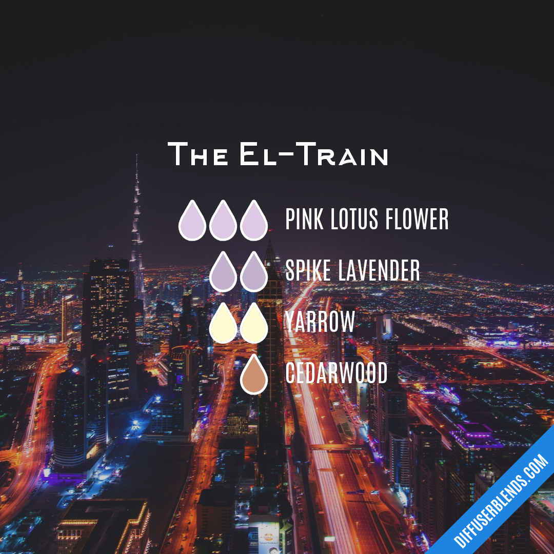 The El-Train | DiffuserBlends.com