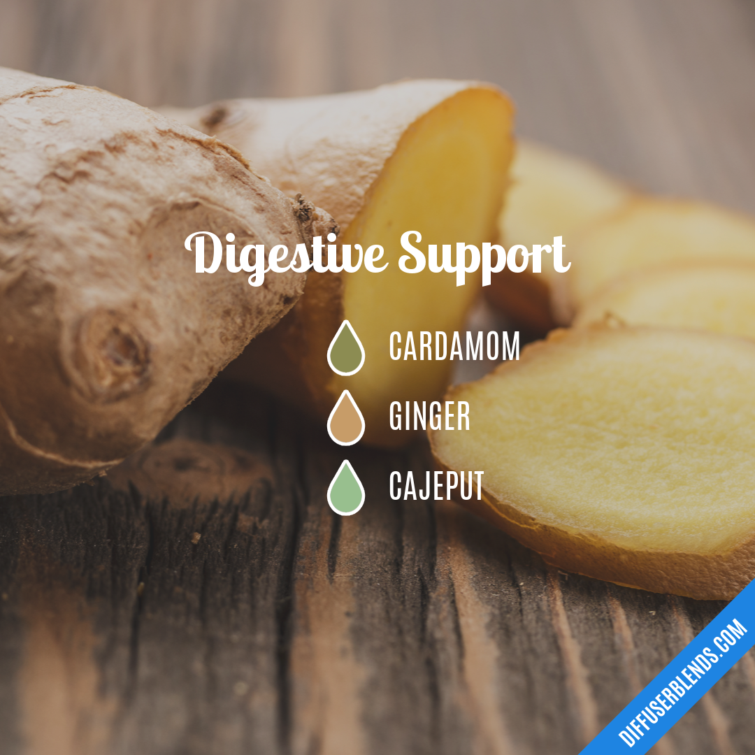 Digestive Support | DiffuserBlends.com