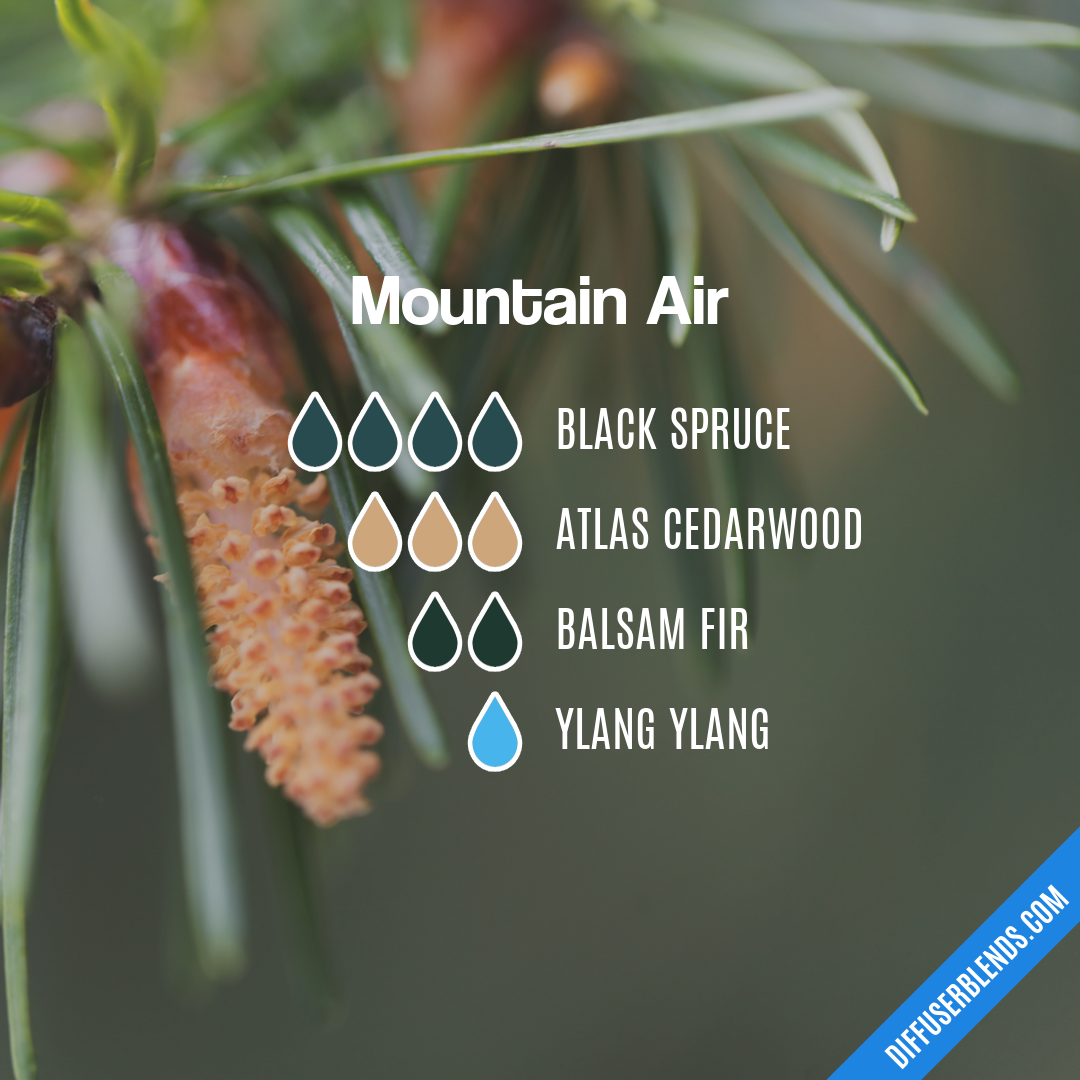 Mountain Air | DiffuserBlends.com